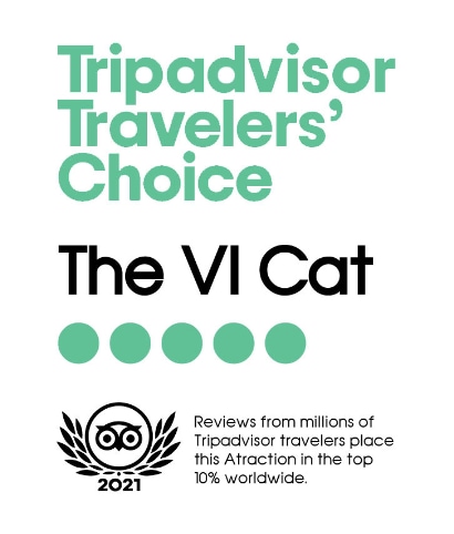 Welcome to The VI Cat Catamaran Sailing Snorkel & Dinner Sails in St ...